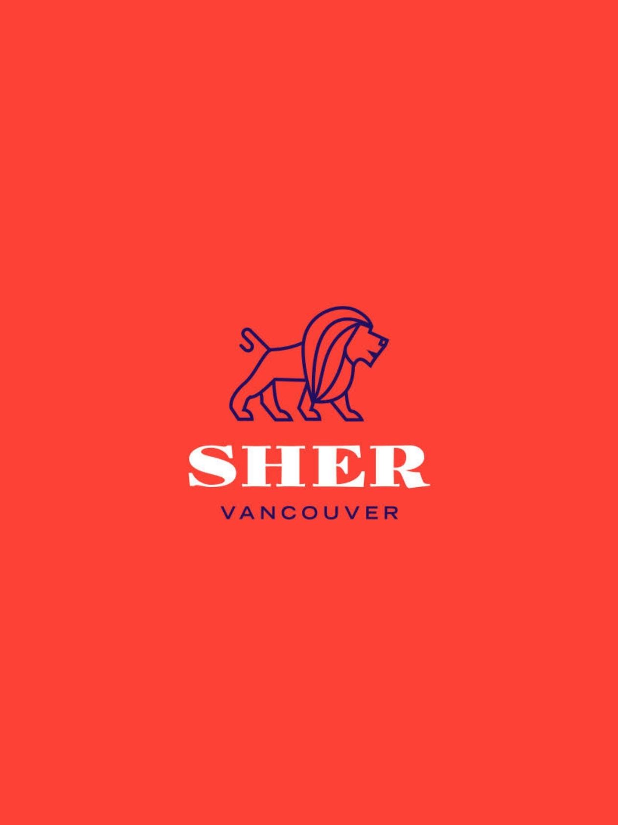 THE MODERN SOCIAL WORKER